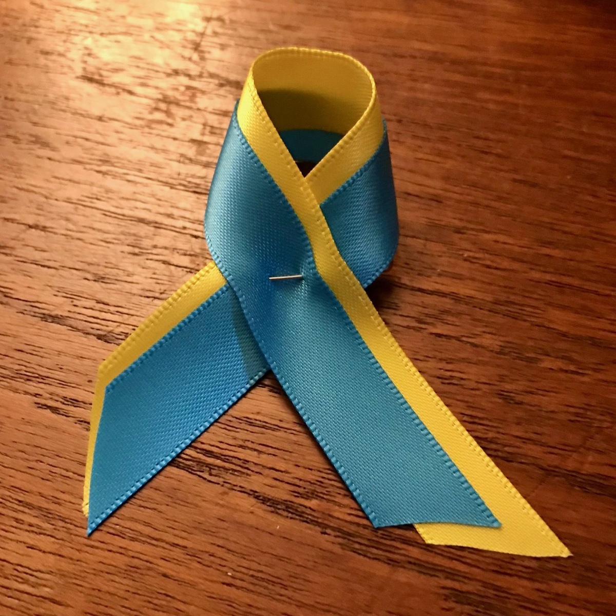 St Peter's Catholic School - Ribbons for Ukraine